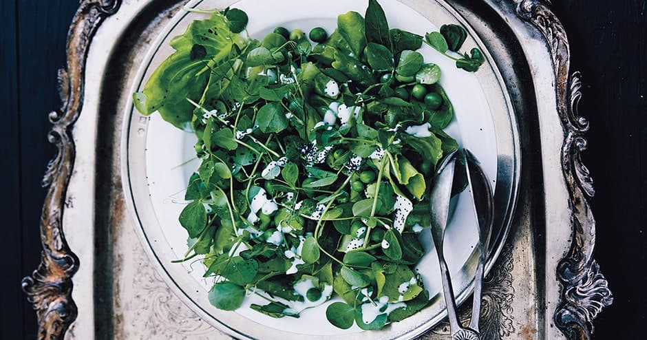Fava Bean and Pea Salad with Poppy Seed Dressing | Punchfork