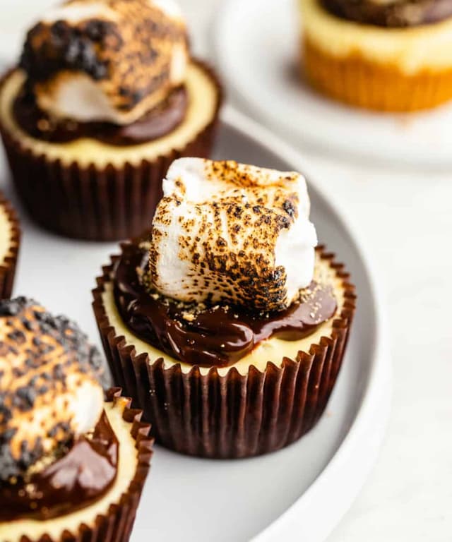 Mini S'mores Cheesecakes | Punchfork