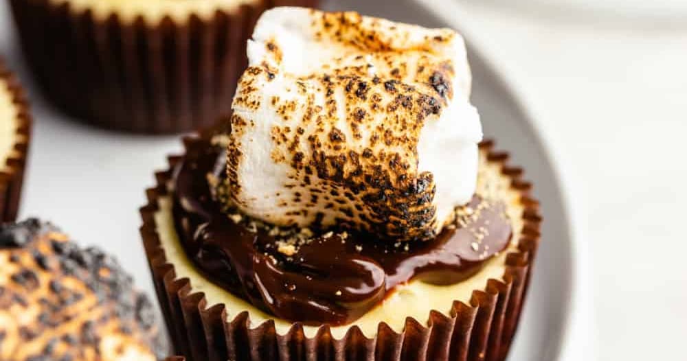 Mini S'mores Cheesecakes | Punchfork