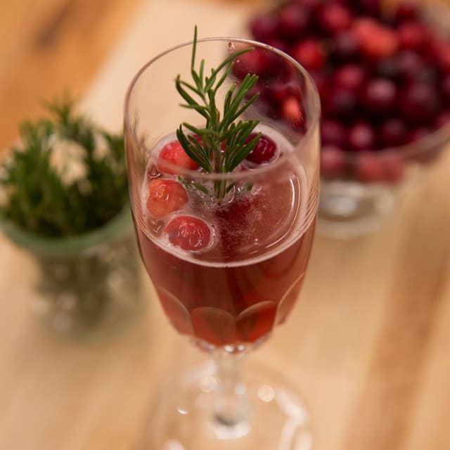 Cranberry Prosecco Fizz | Punchfork