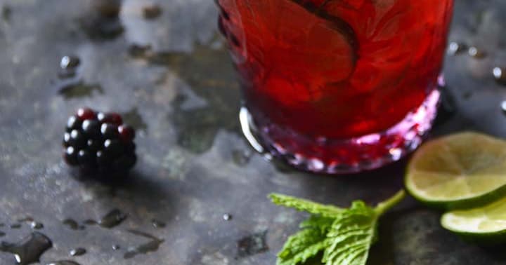 Blackberry Lime Mocktail Spritzer (Loganberry Drink Copycat) | Punchfork