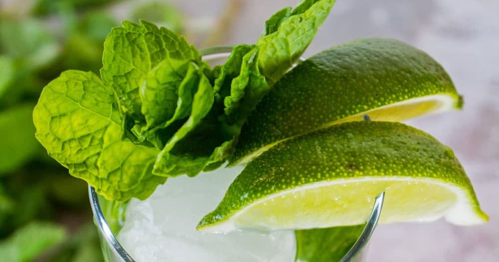 Vodka Mojito | Punchfork