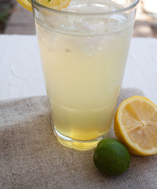 Easy Homemade Lemon Lime Soda | Punchfork