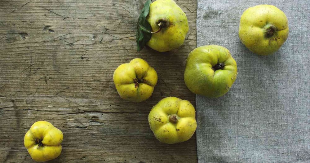 Quince Preserves in Syrup | Punchfork