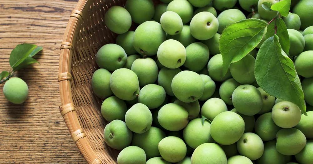 Korean Plum Wine (Maesil Ju) | Punchfork