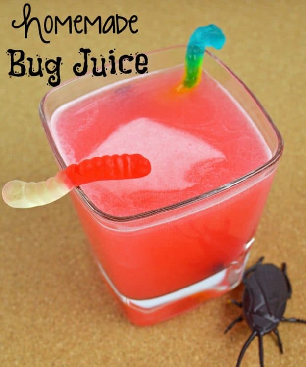 Homemade Bug Juice | Punchfork