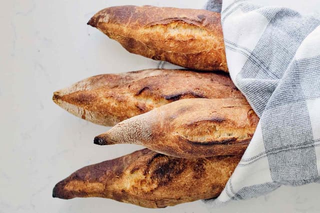 Birote (Guadalajaran Sourdough Bread) | Punchfork