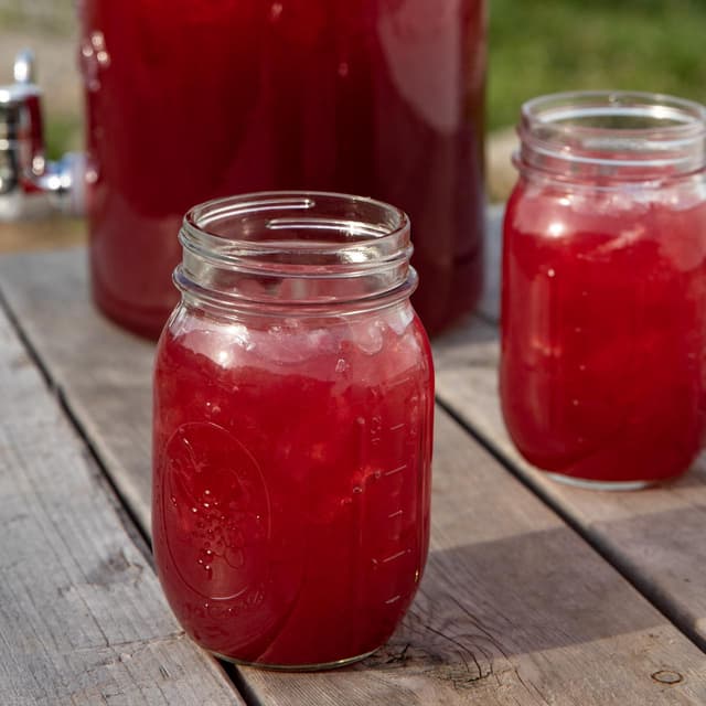 Prairie Punch | Punchfork