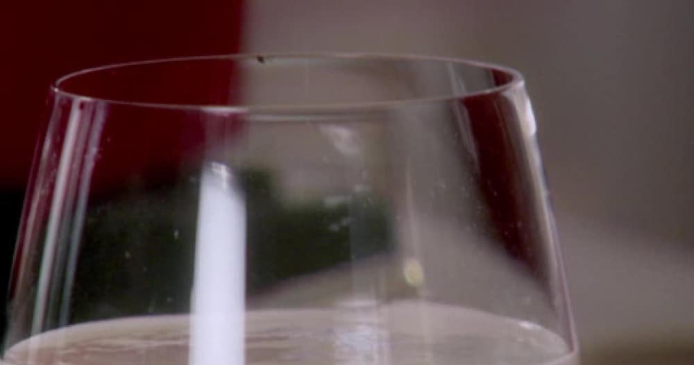 Spanish Lemon Fizz | Punchfork