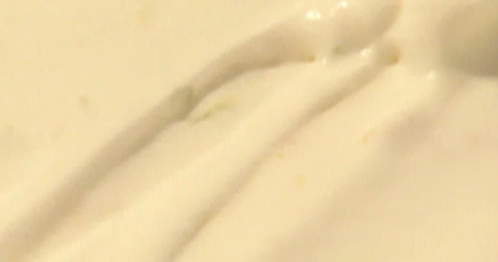 Bitter Orange Ice Cream | Punchfork