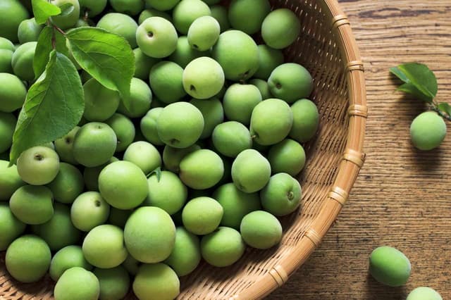 Korean Plum Wine (Maesil Ju) | Punchfork