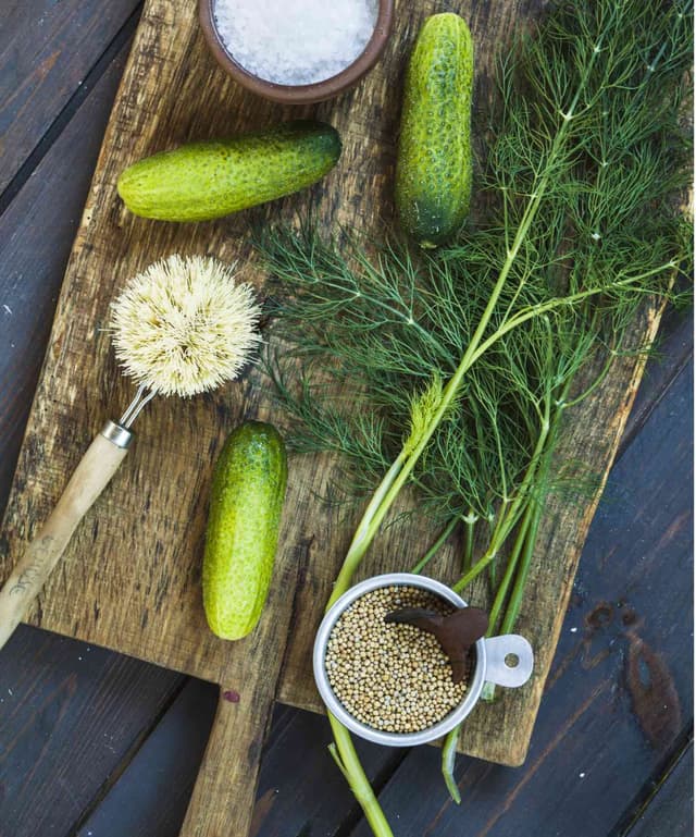 Homemade German Mustard Pickles (Senfgurken) | Punchfork