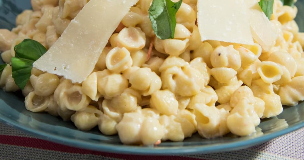 Baby Shells Bechamel | Punchfork