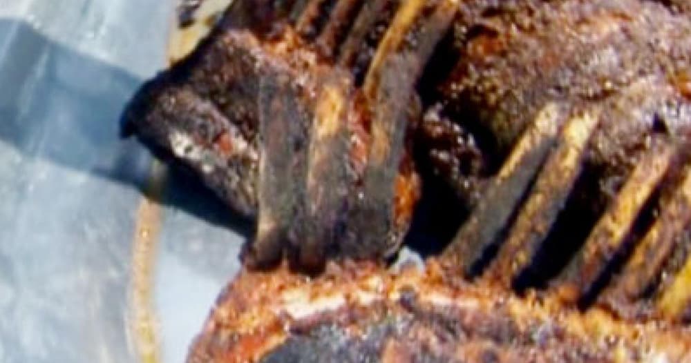 Racks of Wild Boar | Punchfork