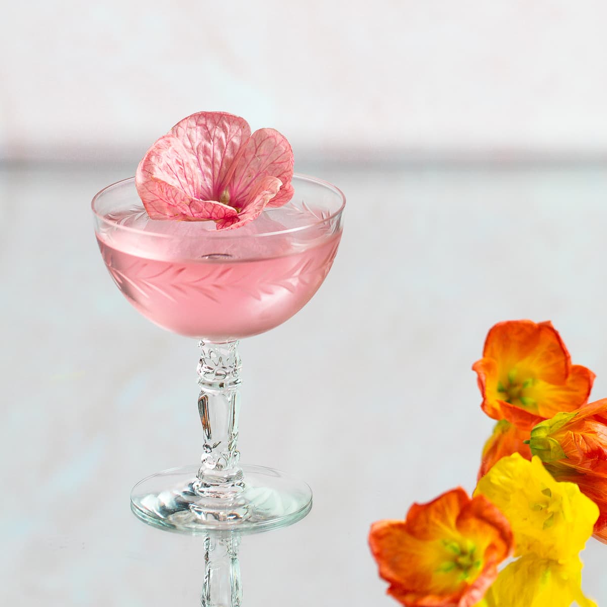 Hibiscus Martini | Punchfork