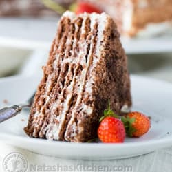 Chocolate Cake Punchfork