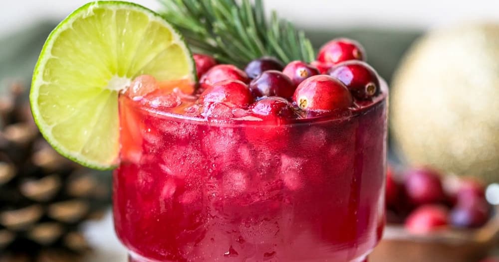 Cranberry Mule Mocktail | Punchfork