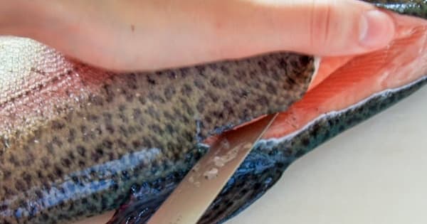 How to Fillet a Fish and a Funny Story | Punchfork