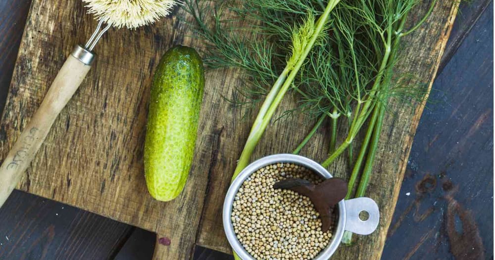 Homemade German Mustard Pickles (Senfgurken) | Punchfork