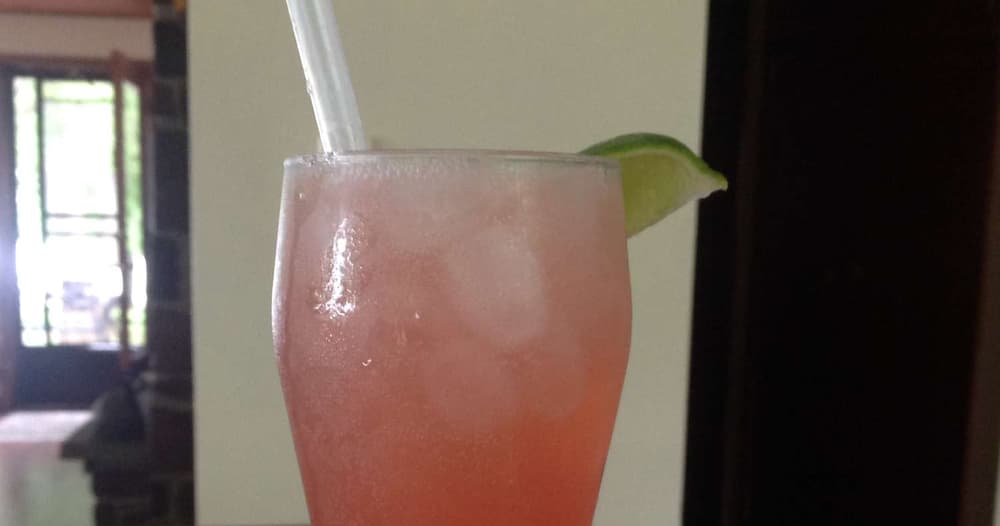 DIY Finnish Lonkero (Long Drink) | Punchfork