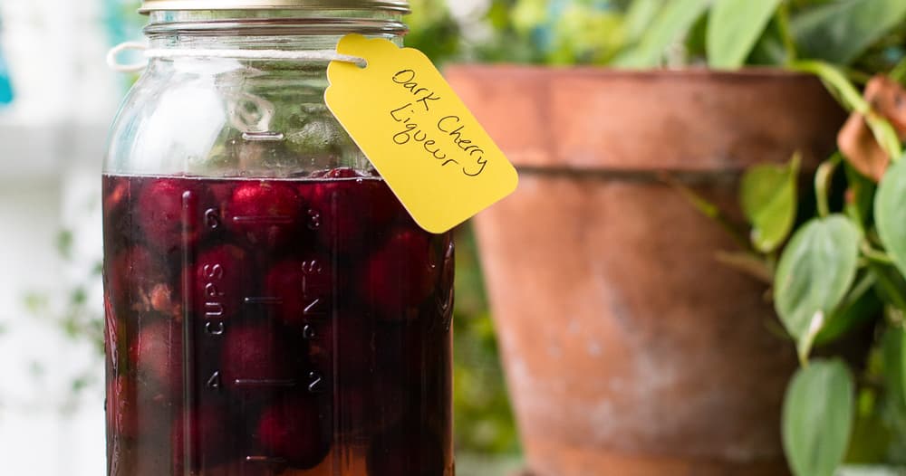 Homemade Cherry Liqueur | Punchfork
