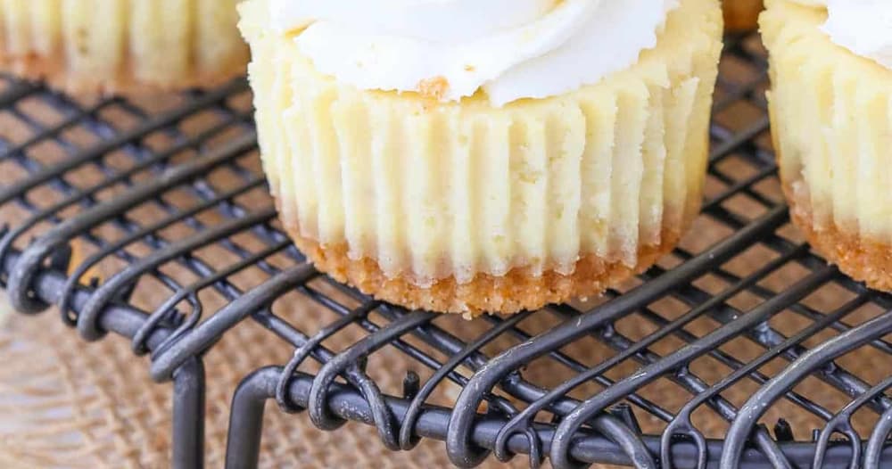 Mini Banana Pudding Cheesecakes | Punchfork