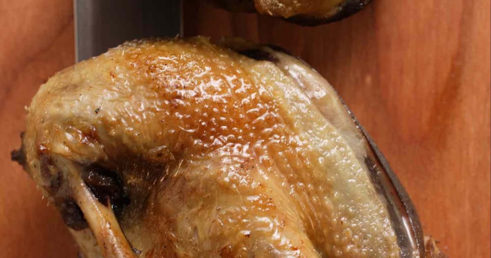 Squab Recipes | Punchfork
