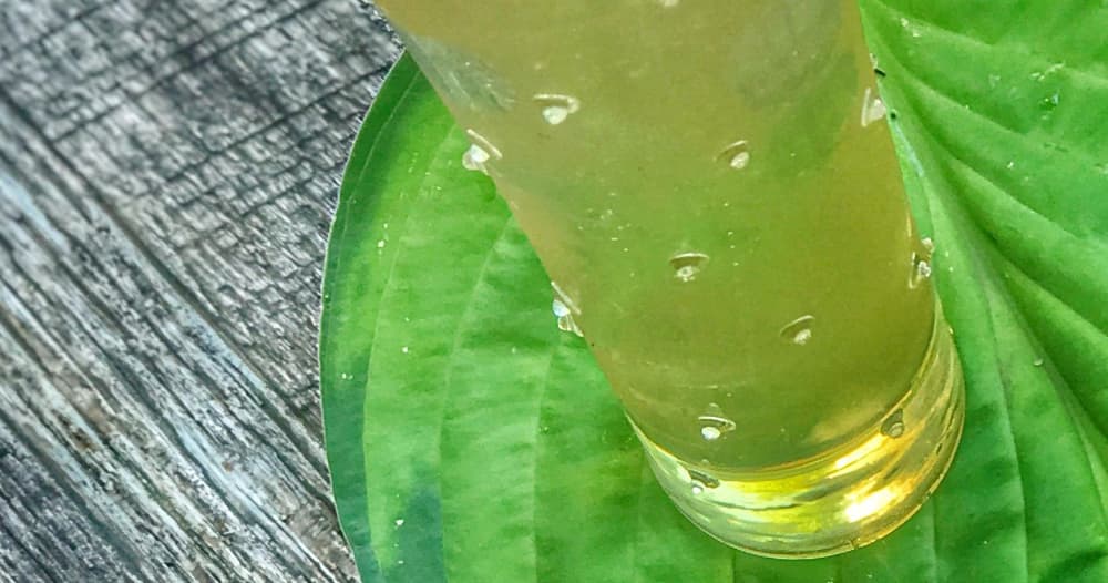 Python Recipes | Punchfork